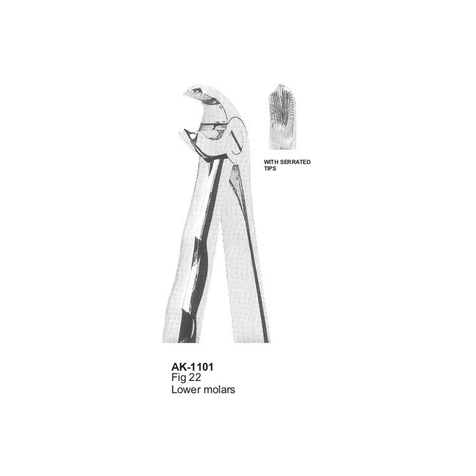 Lower Molars Extracting Forceps - Akhyar Surgical